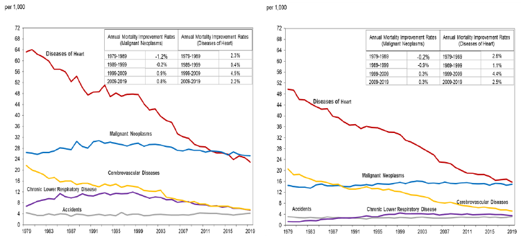 Mortality Projections for Social Security Programs in Canada: Actuarial ...