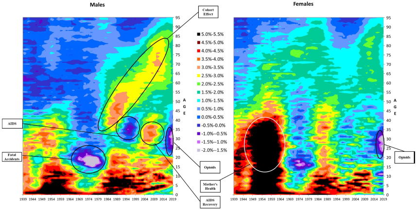 Mortality Projections for Social Security Programs in Canada: Actuarial ...